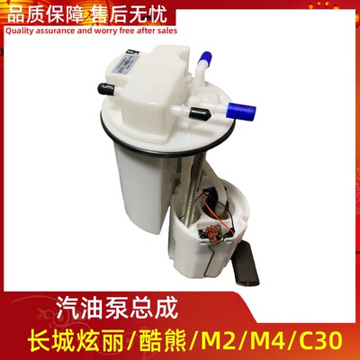 适用长城C30炫丽M4酷熊M2C5C20凌傲哈弗H1H3H5H6汽油泵燃油泵碳罐