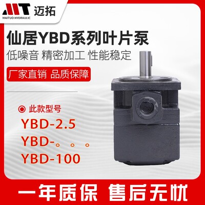 YBD-100仙居永灵叶片泵YBD-2.5/4/6/10/16/20/25/32/63/80/125正
