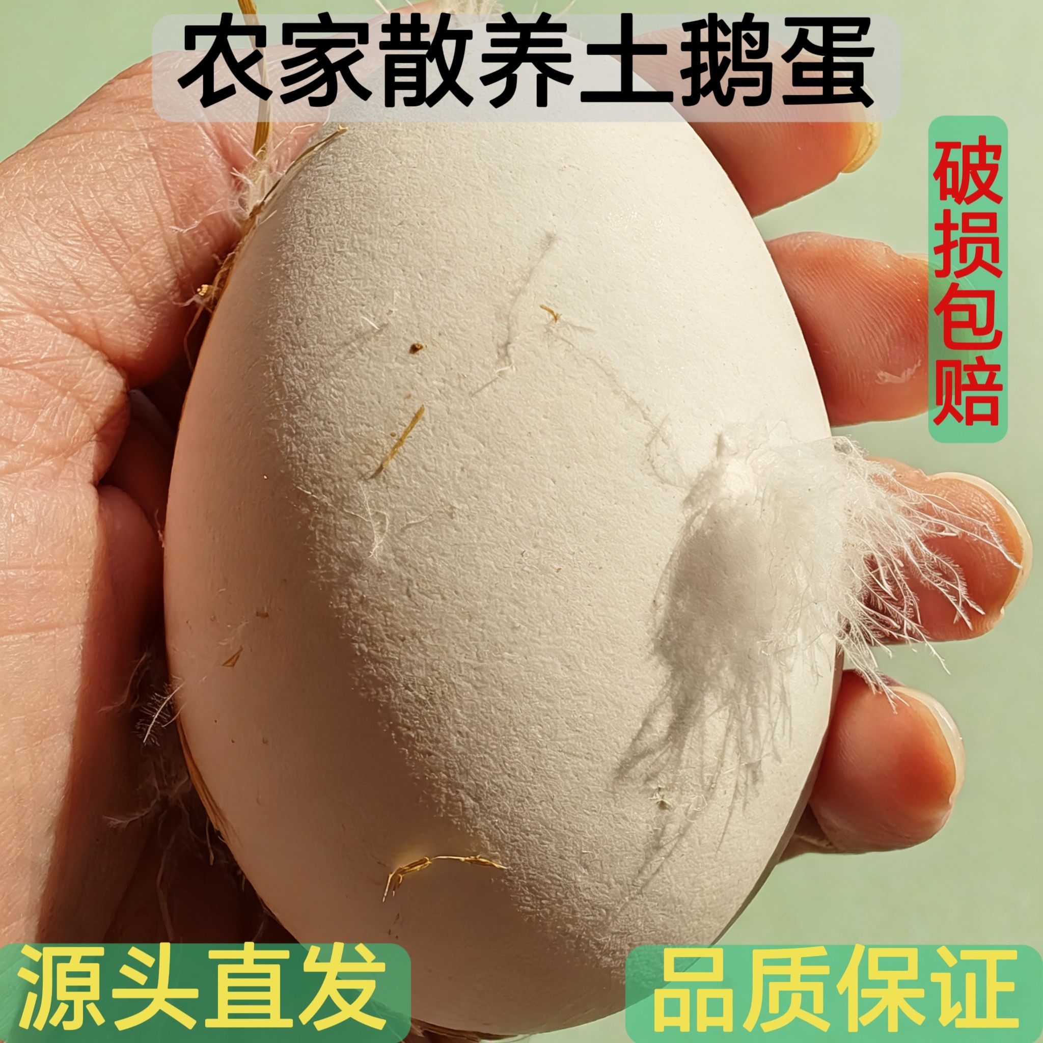 新鲜散养土鹅蛋正宗现捡农家自养天然健康孕妇儿童老人营养鹅蛋