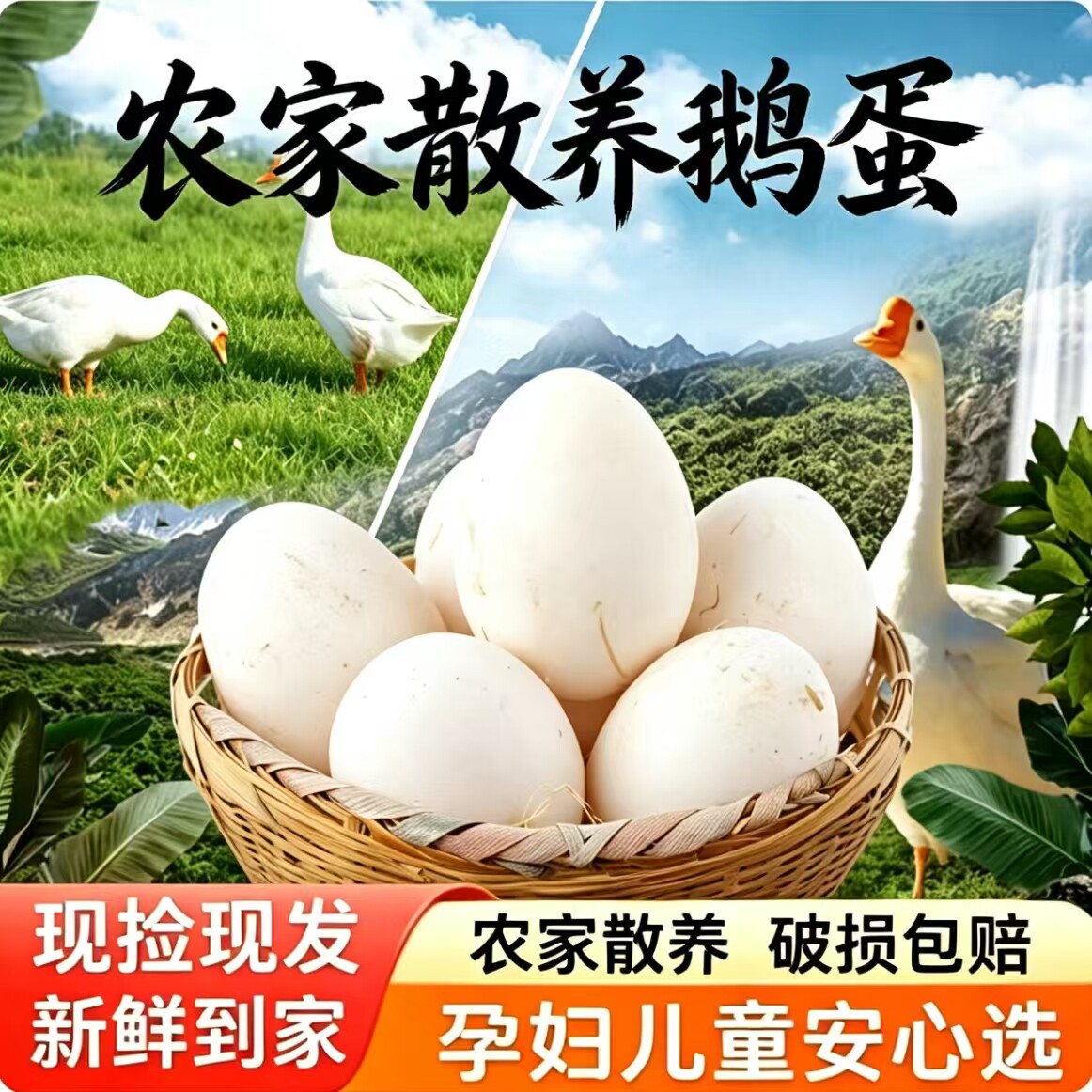 新鲜散养农家自养土鹅蛋现捡正宗天然健康孕妇儿童老人营养鹅蛋