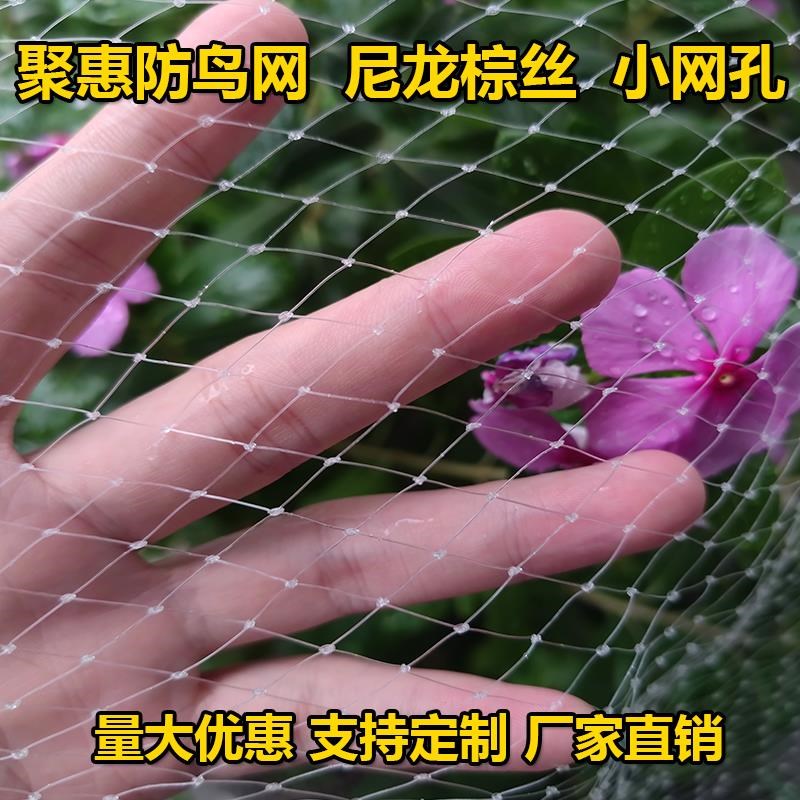 果树防鸟用的网农用防鸟丝网果园天网嘉宝果树防鸟罩子阳台防鸟网