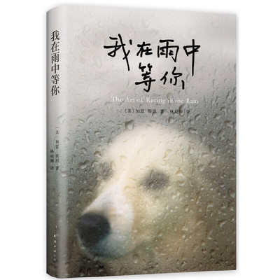 正版新书 我在雨中等你 (美)加思·斯坦(Garth Stein) 著 林说俐 译 南海出版公司
