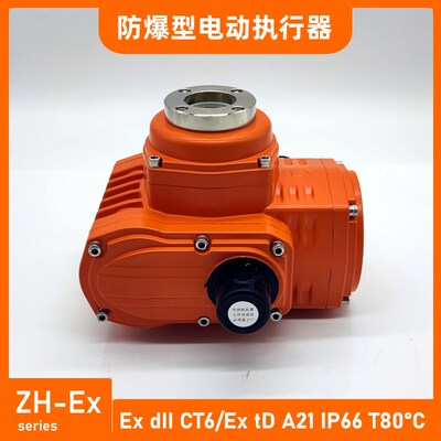 防爆型阀门电动执行器ZH-Ex05 10 20 40 60 100/200ExdIICT6A21