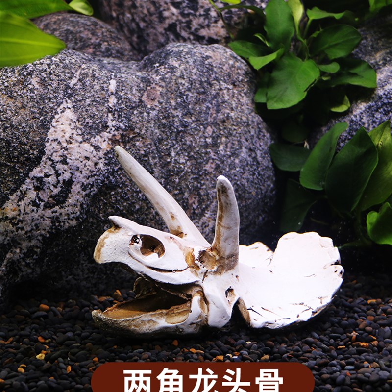 仿真恐龙头骨鱼缸造景躲避屋树脂爬宠仿真骷髅头骨水族箱装饰摆件