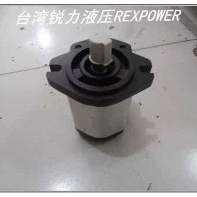 REXPOWER系列 RGP-2A-F06R RGP-2A-F11R 齿轮泵原装供应