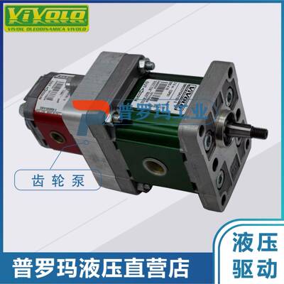 VIVOLO双联液压泵X1T2102FBBA0+X0F0132GBBA0液压油泵