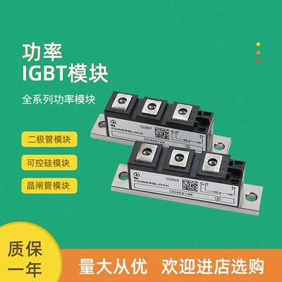 全新二极管模块DZ1070N26K DZ1070N28K DZ1100N22K  DD46S12K