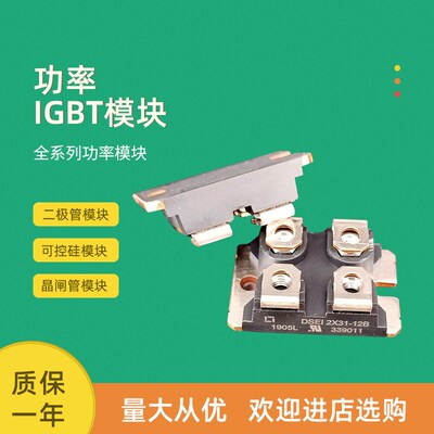 全新二极管模块 IXTN660N04T4  DSEI2X30-04C DSEI2X30-06C