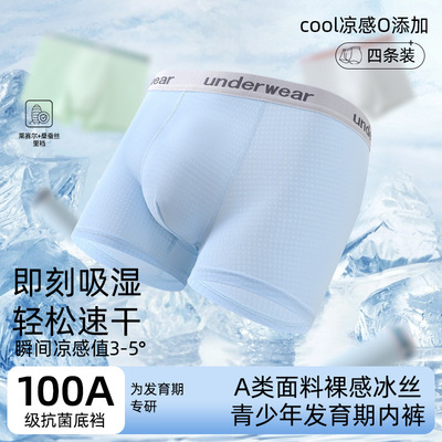 【下单立减50】莱赛尔桑蚕丝青少年冰河内裤100A吸湿透气速干_gj