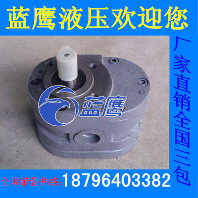 HY01-18*25 8X15 25*25 12X20 3*5X10机磨床70 100X25齿轮油泵CBJ