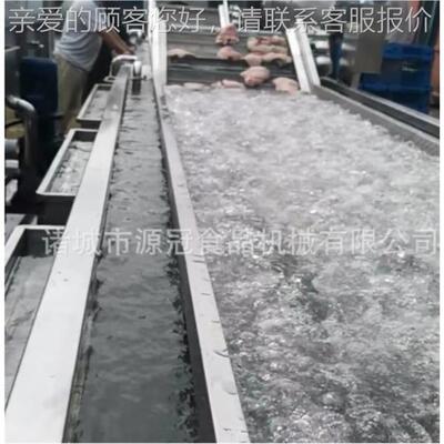 供应排骨WBA解冻机 连续式冻品猪蹄鸭化冻机 冻冻盘冻解流水翅线