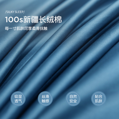 纯棉贡缎床单单件新款高档奢华100支长绒棉全棉被单子枕套三件套