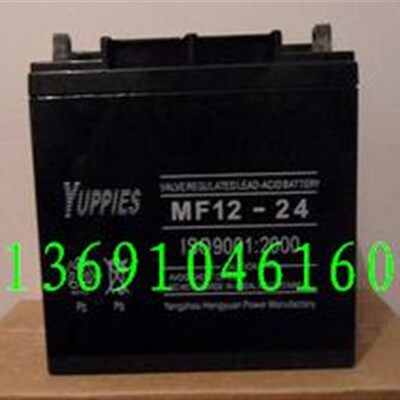 促销价格优佩斯YUPPIES蓄电池MF12-24电池12V24AH蓄电池厂家直销