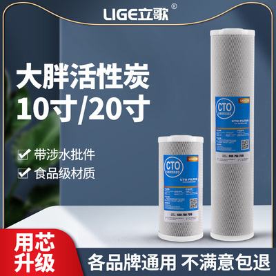 全屋前置净水器大蓝瓶滤芯10寸20寸大胖活性炭CTO过滤器通用炭棒