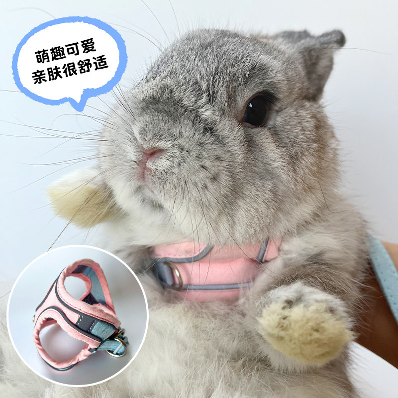 粉色兔子牵引绳溜兔子可调节防挣脱兔绳外出专用防咬可爱风溜兔绳