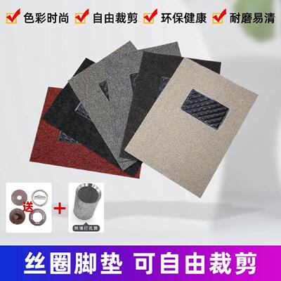 汽车丝圈脚垫通用易清洗可自剪裁单片个主驾驶位车防水加厚副驾驶