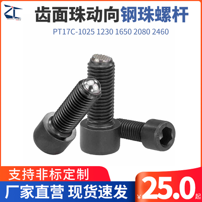 PKJ02齿面珠动向钢珠螺杆齿面辅助件PT17C-1025/1230/1650/2080