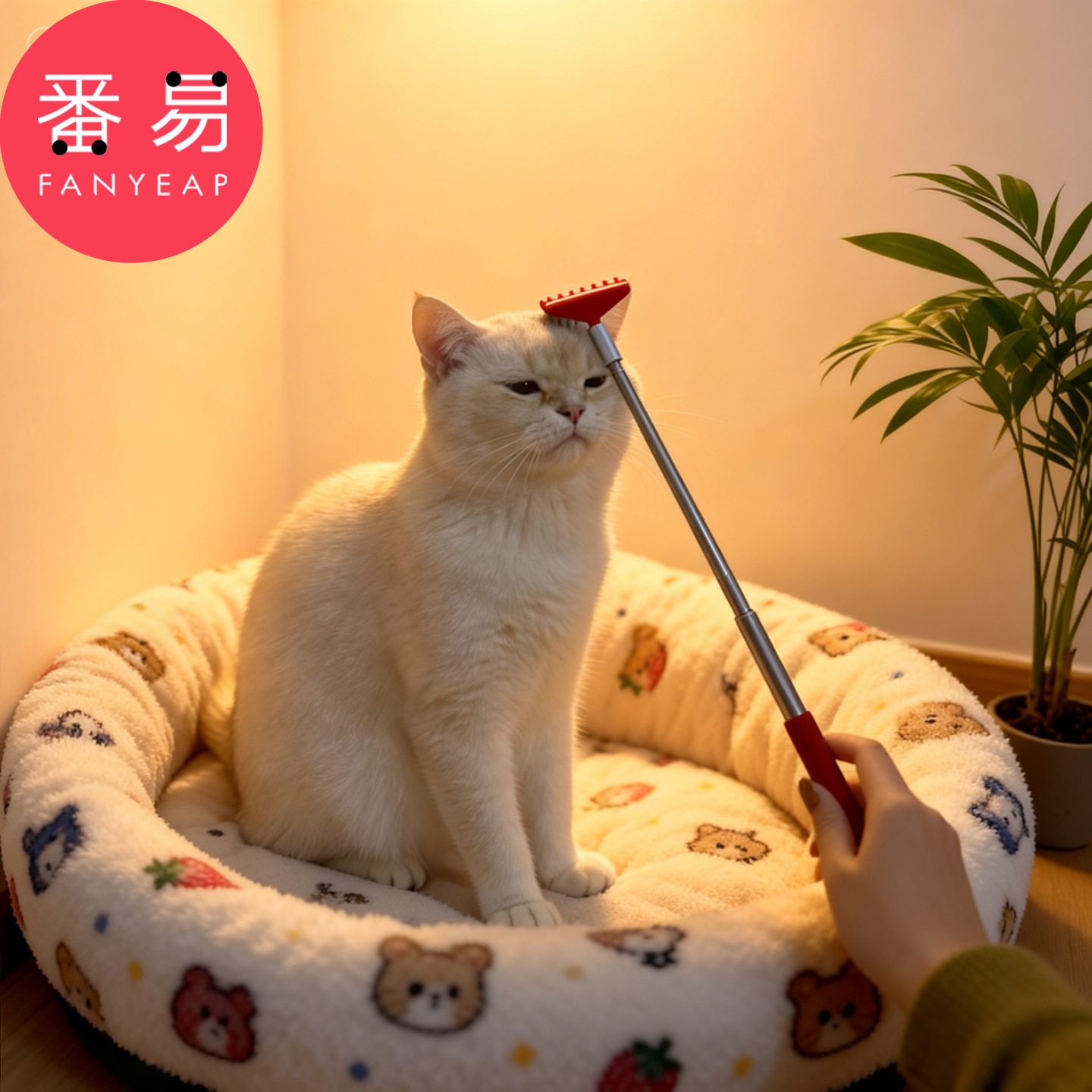 逗猫棒/可伸缩A1zzn001-长杆可伸缩痒痒挠互动挠痒逗猫棒猫咪用品