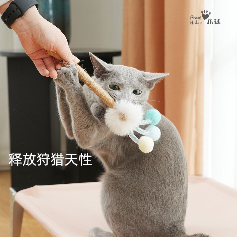 PawsHolic爪迷木天蓼磨牙洁齿棒猫玩具自嗨解闷耐咬猫薄荷逗猫棒
