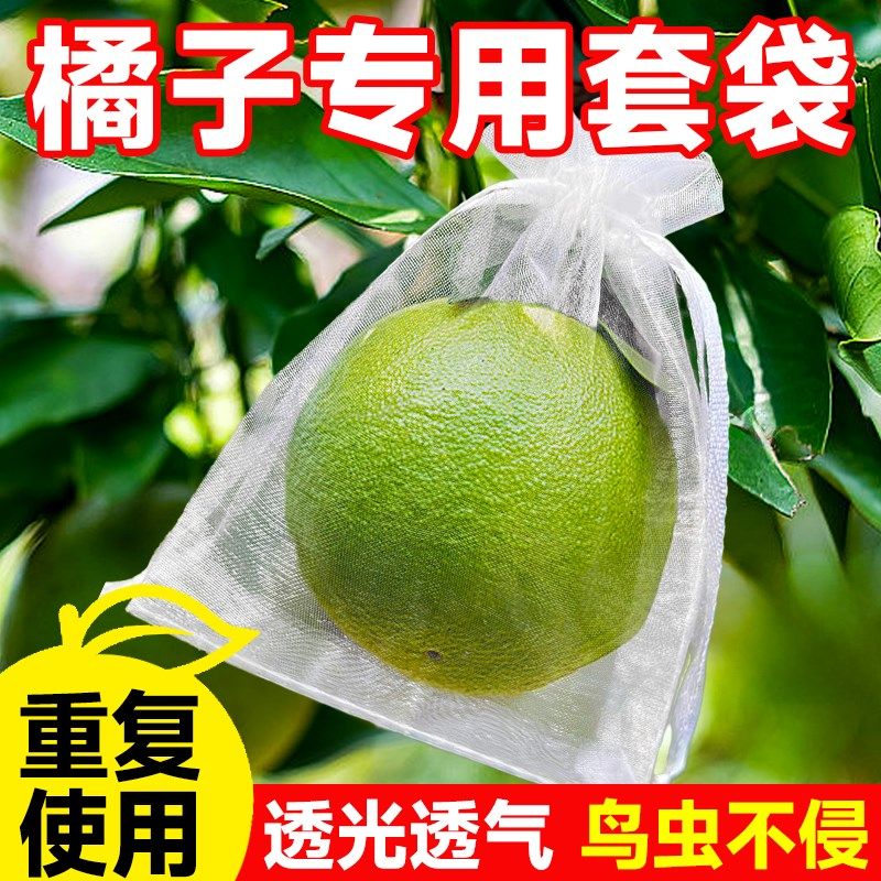 粑粑柑橘套袋防鸟防虫专用袋透气透光冬瓜水果套袋果袋防果蝇神器