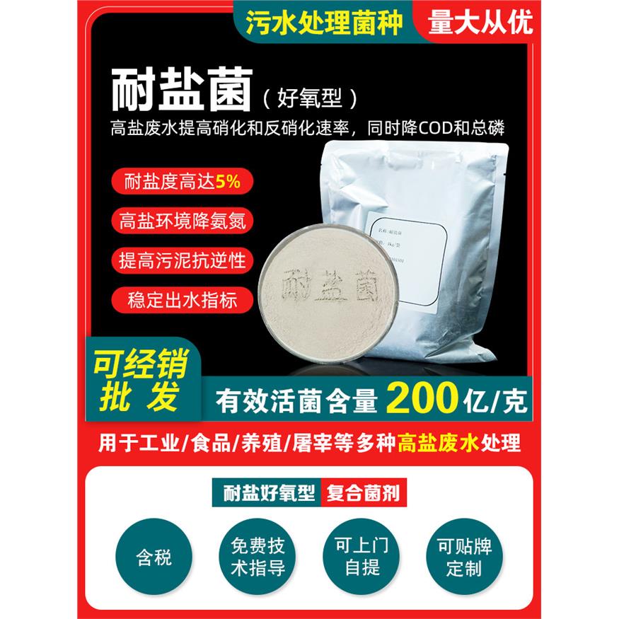 耐盐菌种污水处理菌高盐废水降氨氮COD磷活性污泥好氧微生物菌剂