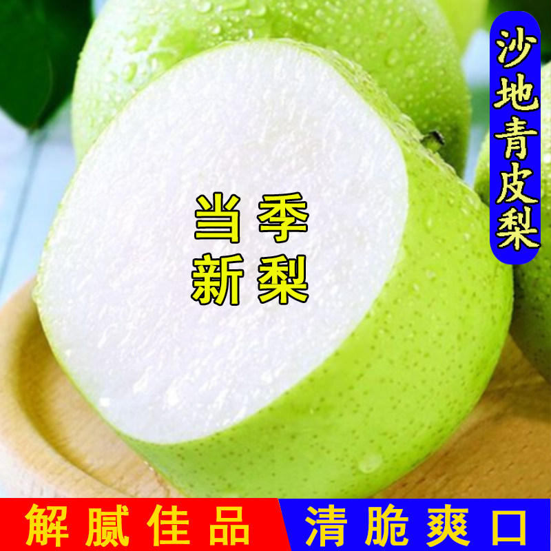 山东青皮梨现摘现发新鲜现货大果脆甜爽口百年老树沙土种植