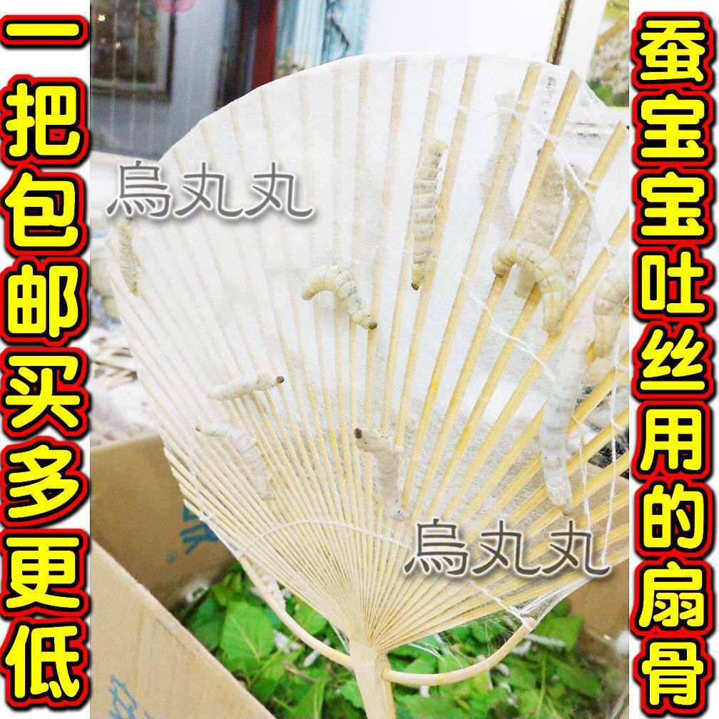 蚕宝宝吐丝用的团扇扇骨可制作蚕丝扇子圆形竹制骨架编织扇