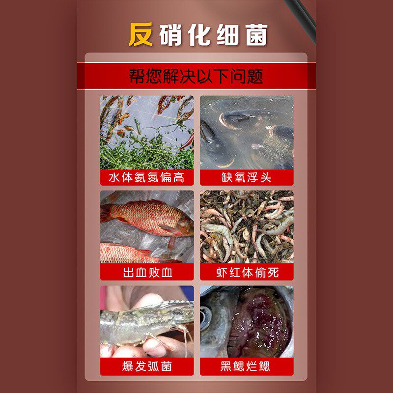 反硝化细菌水产养殖专用降氨氮亚硝酸盐调节水质硝化菌鱼缸净水剂