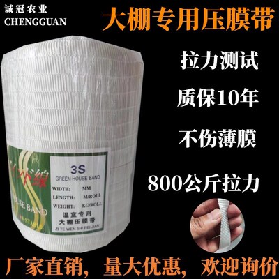高强度加厚大棚压膜带扁平压膜绳压篷布绳子M白色涤纶线耐用10年