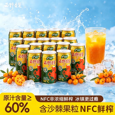 【好物体验专享】沙棘果汁300ml饮料NFC夏日饮品冰镇清爽解腻饮品