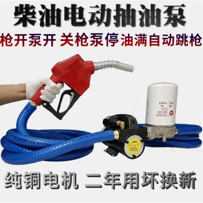 德国进口抽油泵柴油正反转12V24V220V自吸泵枪停泵停计量自封枪加
