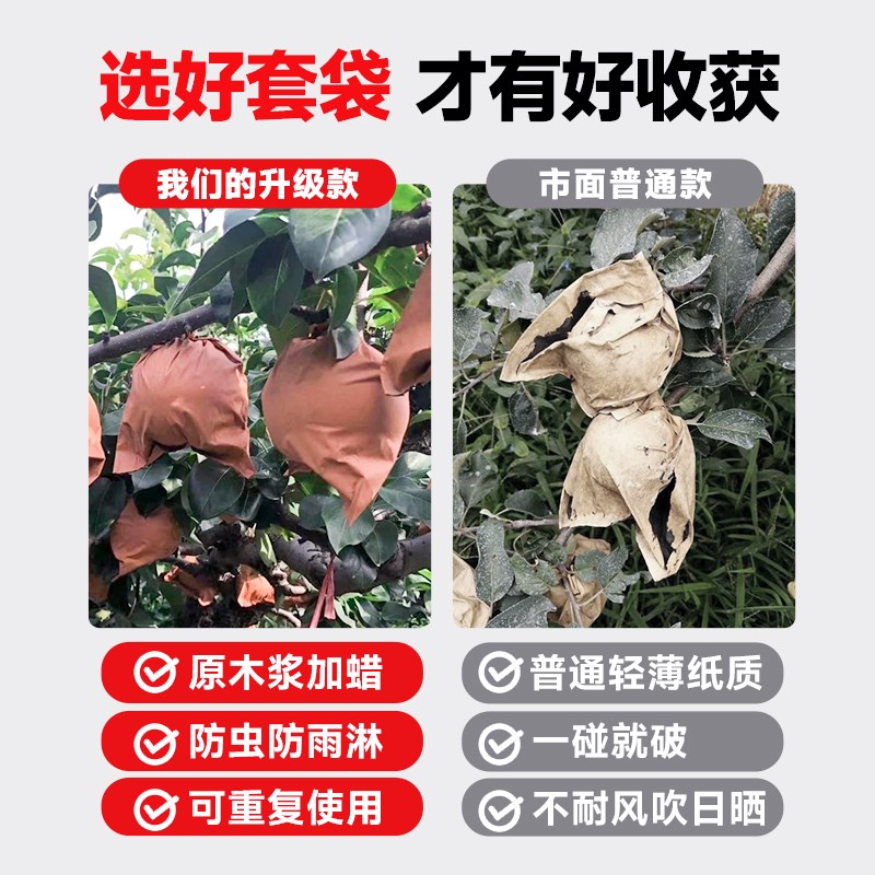 石榴套袋专用果袋葡萄桃子番石榴瓜果防虫防鸟保护袋水果套袋神器