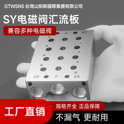 GTWSNS台湾山耐斯4V210-08阀板