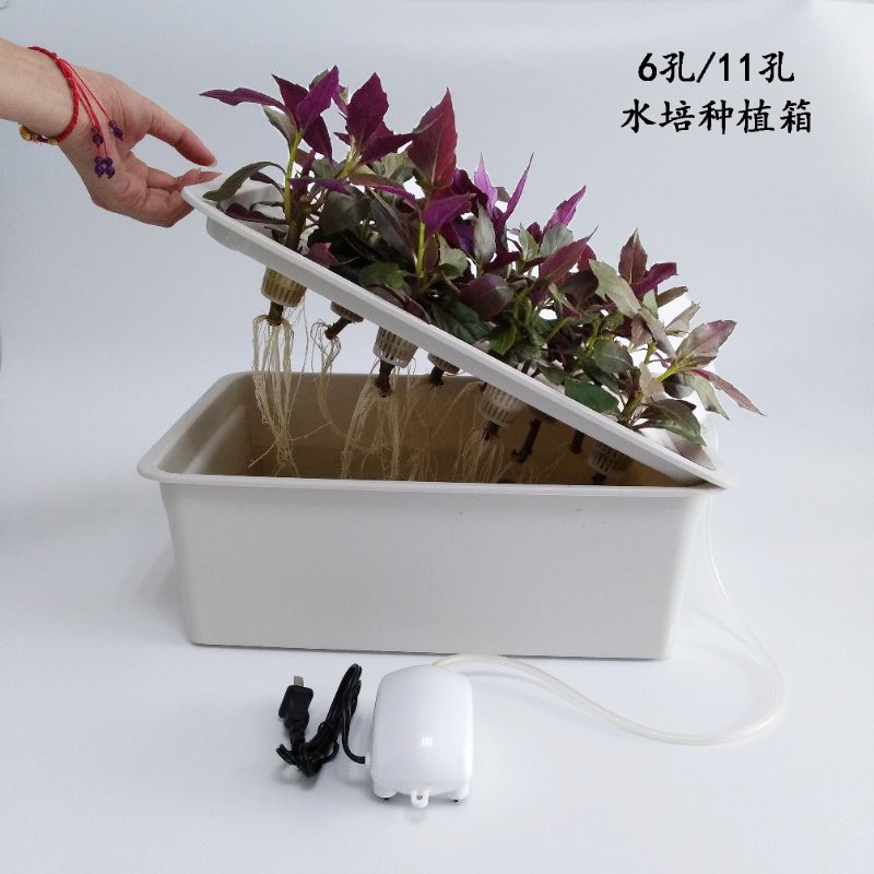 快乐水培阳台蔬菜家庭生菜无土栽培设备种菜机蔬菜静态水培种植箱