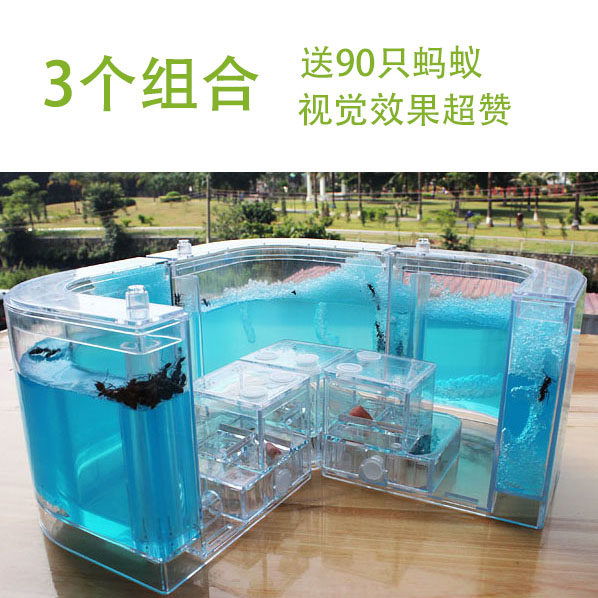 超大蚂蚁城堡蚂蚁家园蚁后宫殿蚂蚁工坊工房屋4个组合送蚂蚁120只