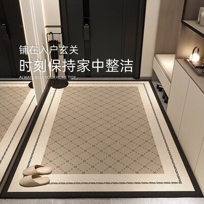 入户门地垫进门地毯高级门口垫子家用门垫轻奢玄关客厅脚垫可定制
