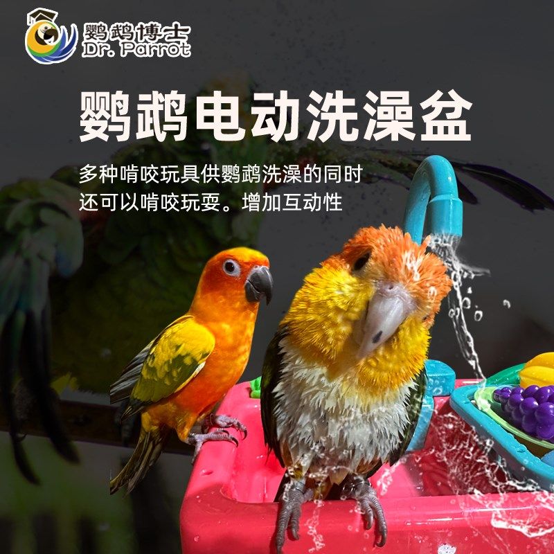 鹦鹉洗澡盆自动循环水洗澡盒沐浴玩具牡丹玄凤虎皮凯克中小型洗澡