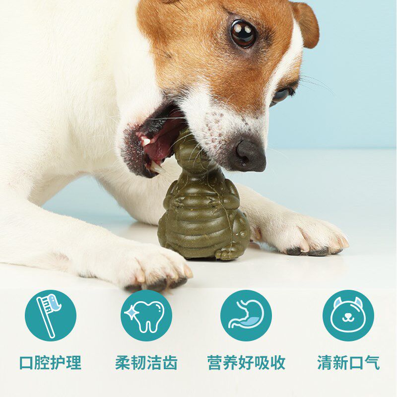 纳瑞施洁齿骨狗狗磨牙棒幼犬耐咬清新口气咬胶小中大型犬宠物零食