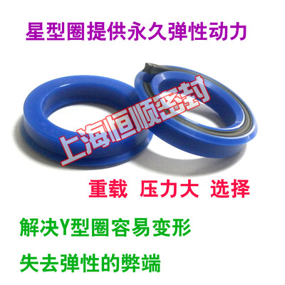 MPS/U+S/KVK油封密封圈13*19*4;14*22*5/6/22*30/32/25*32*5蓝色