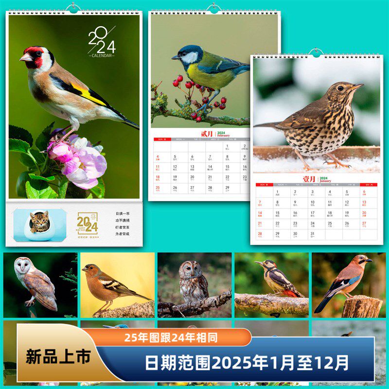2025蛇年花鸟虫鱼野生动物挂历新款家用挂墙翻页月历年历日历小鸟
