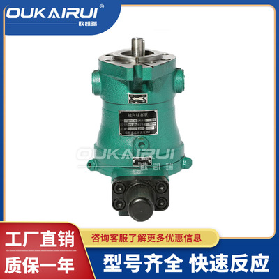 启东液压10SCY 25 40 63 80 108 100 160SCY250SCY14-1B柱塞油泵