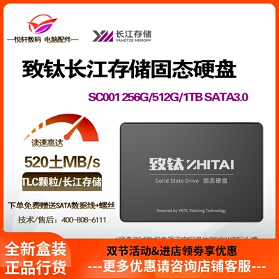 致钛/致态 SC001 PC005 256G 512GB SSD固态硬碟NVME桌上型电脑笔