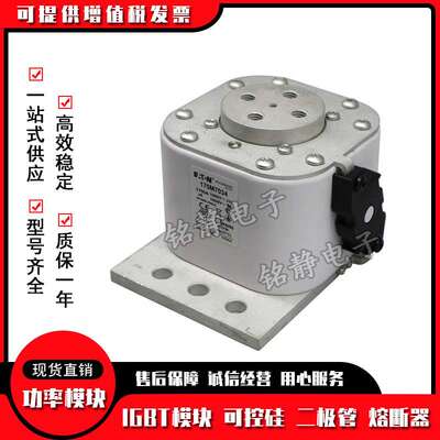 170M7031 170M7548 170M7034 170M7053 170M7544巴斯曼熔断器