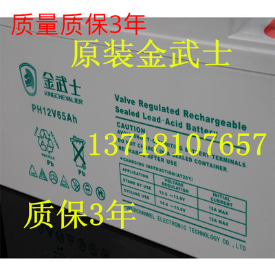 金武士蓄电池PV200-12（12v200ah）