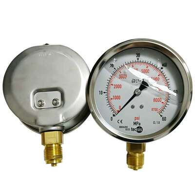 压力表Tecsis泰科思25mpaP1779E758013G1/2油压表EN837-1试压高压