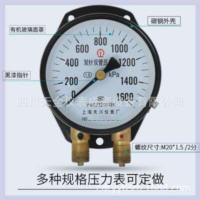 上海天川双针双管压力表YZS-102铁路船舶1000/1200KPa高静压力计