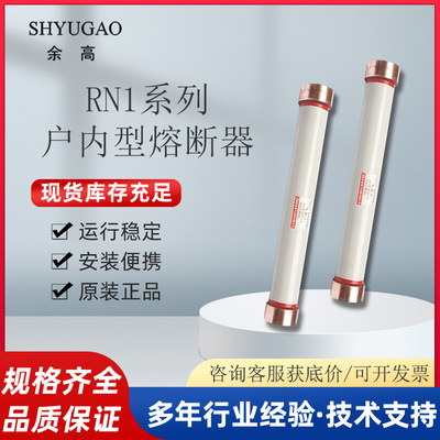 余高SHYUGAO 高压户内熔断器保险管限流熔断器RN1系列RN1-10/0.5A