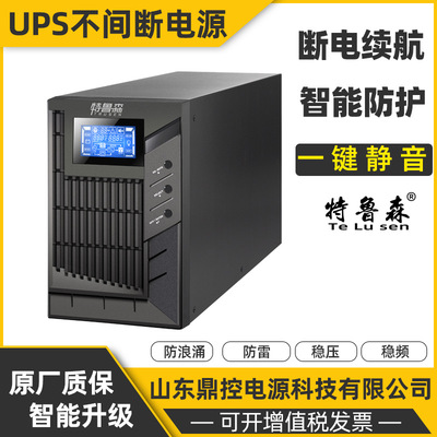 特鲁森TLS1103-LN高频UPS不间断电源3KVA2700W长效机外接电池柜包