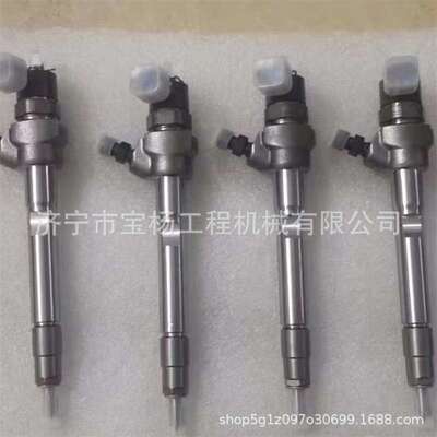 0445110305共轨喷油器0433172024 0445110805喷油嘴总成