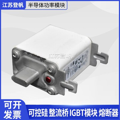 170M1571 170M2764 170M3423 170M4066 170M6712巴斯曼熔断器现货